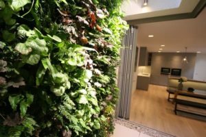 How to Master the Art of Living Walls - Empatika